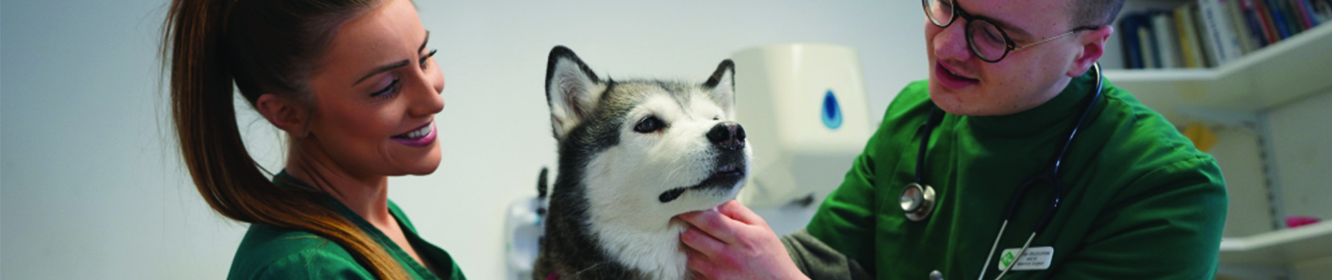 Preventative Healthcare | Elizabeth Street Veterinary Clinic