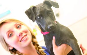 Vet in London | Vet in Belgravia | Elizabeth Street Veterinary Clinic