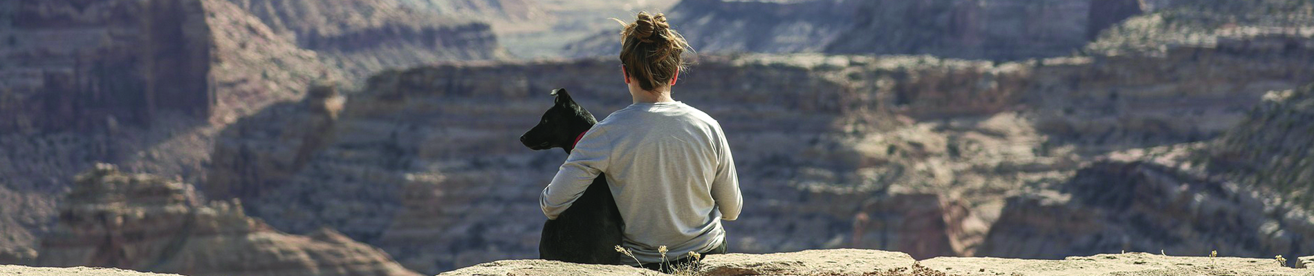 Elizabeth Street Veterinary Clinic Travelling Abroad - Elizabeth Street ...