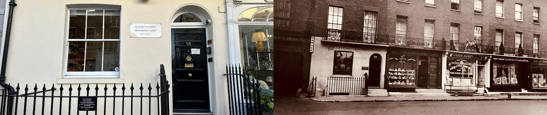 Our History | Elizabeth Street Veterinary Clinic