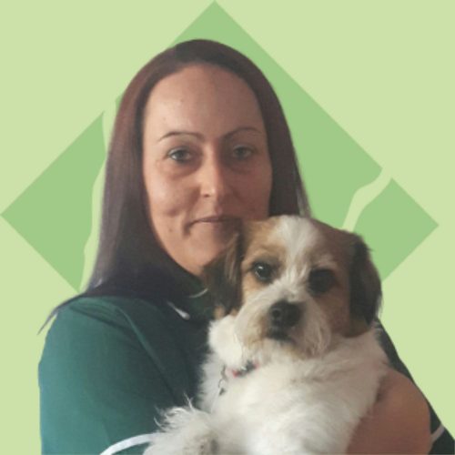 Meet Our Elizabeth Street Vets Team | Elizabeth Street Veterinary Clinic