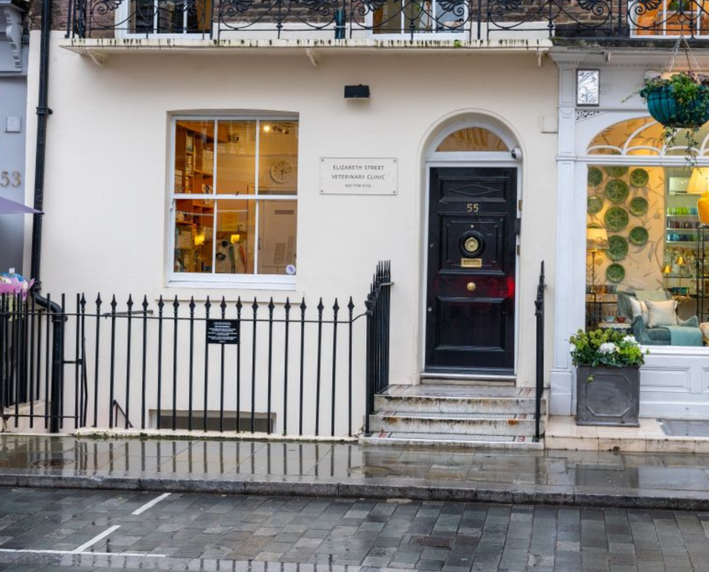 Elizabeth Street Goes Independent Again | Elizabeth Street Veterinary ...
