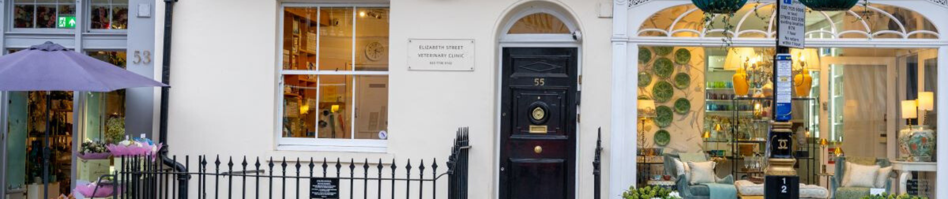 Emergency 24 Hour Vetcare | Elizabeth Street Veterinary Clinic