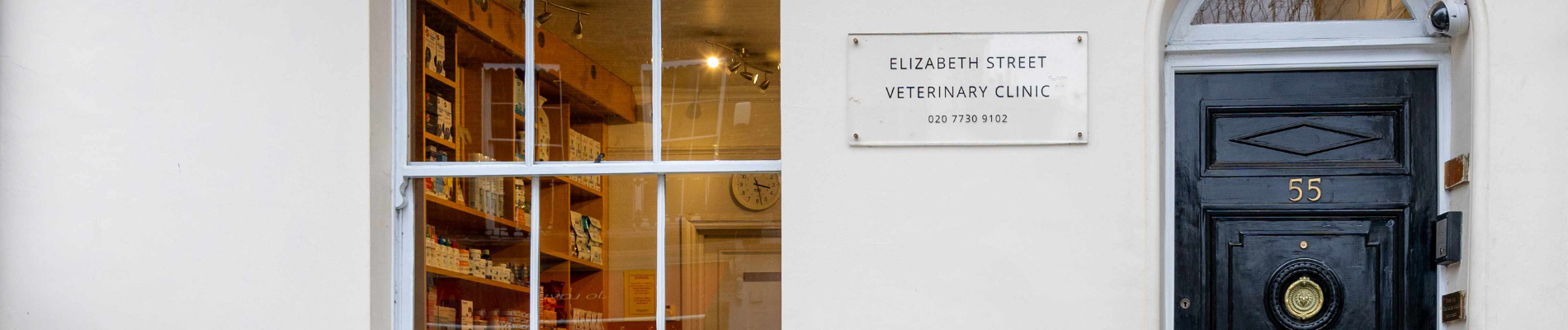 Elizabeth Street Veterinary Clinic About Us - Elizabeth Street ...