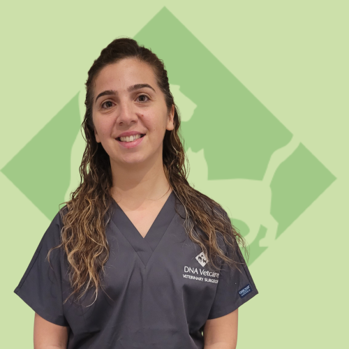 Emergency 24 Hour Vetcare | Elizabeth Street Veterinary Clinic