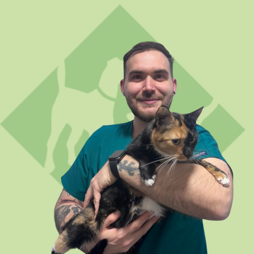 Meet Our Elizabeth Street Vets Team | Elizabeth Street Veterinary Clinic