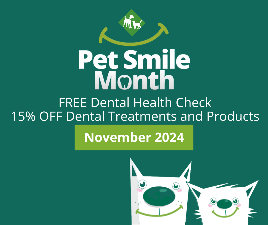 Pet Smile Month | Elizabeth Street Veterinary Clinic