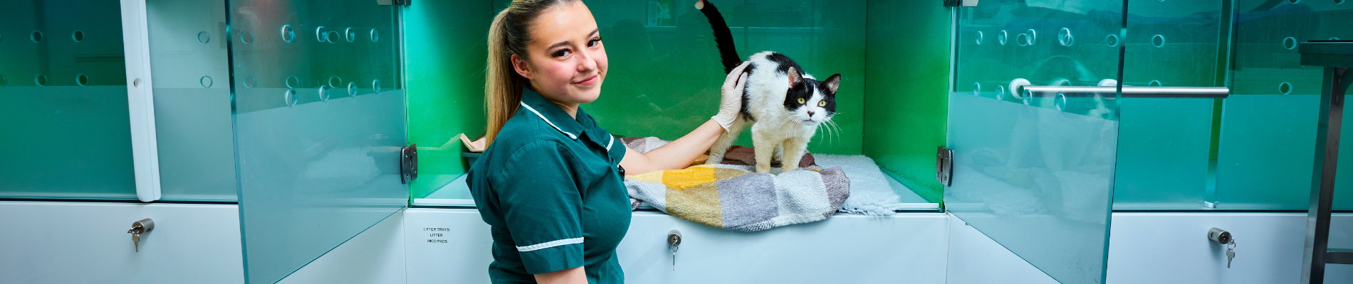 Hospitalisation | Overnight Stay | Elizabeth Street Veterinary Clinic